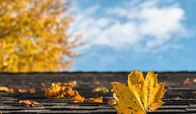 Why Fall is a Good Time to Replace Your Roof